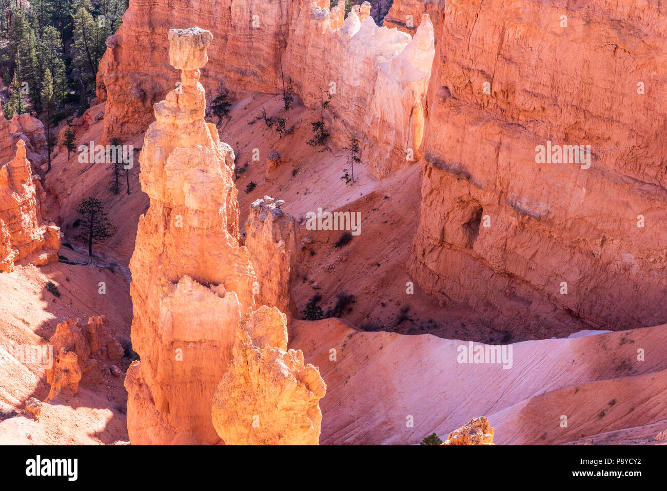 Golden hammer hi-res stock photography and images - Alamy