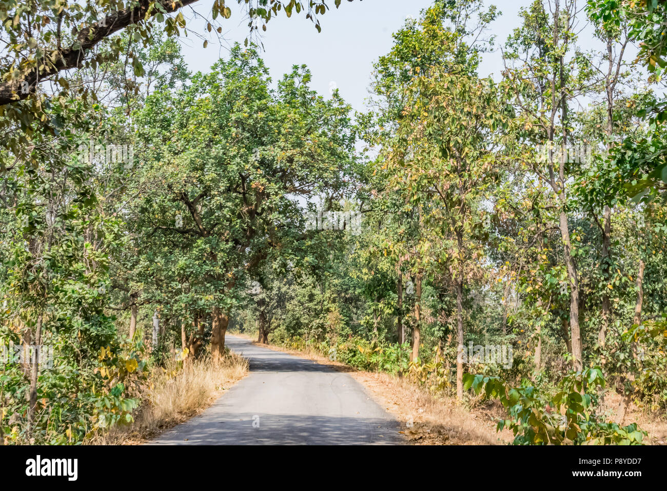 Rural Indian uphill pitch road highway meets the sky horizon through ...