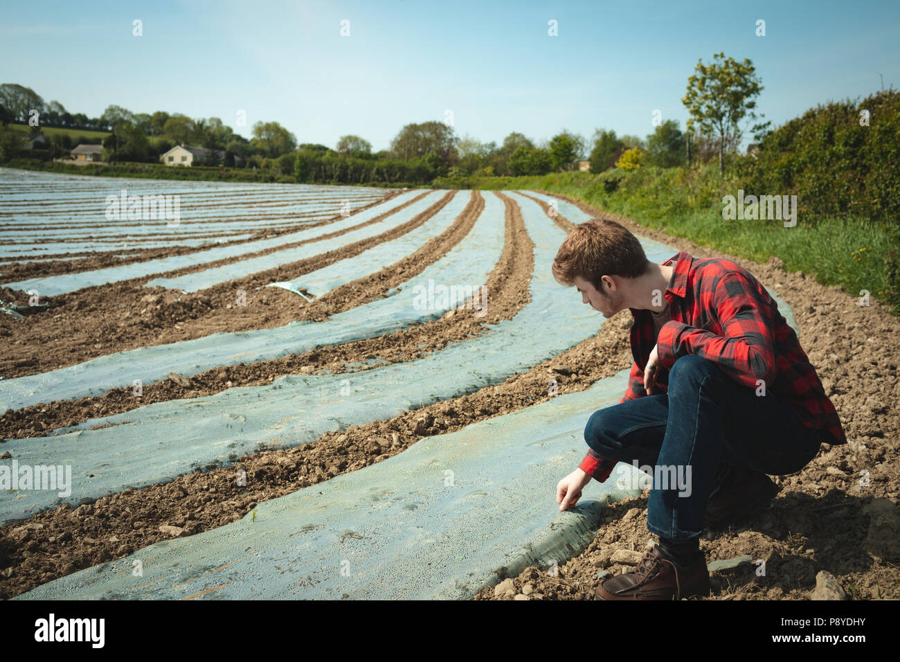Field checking hi-res stock photography and images - Alamy