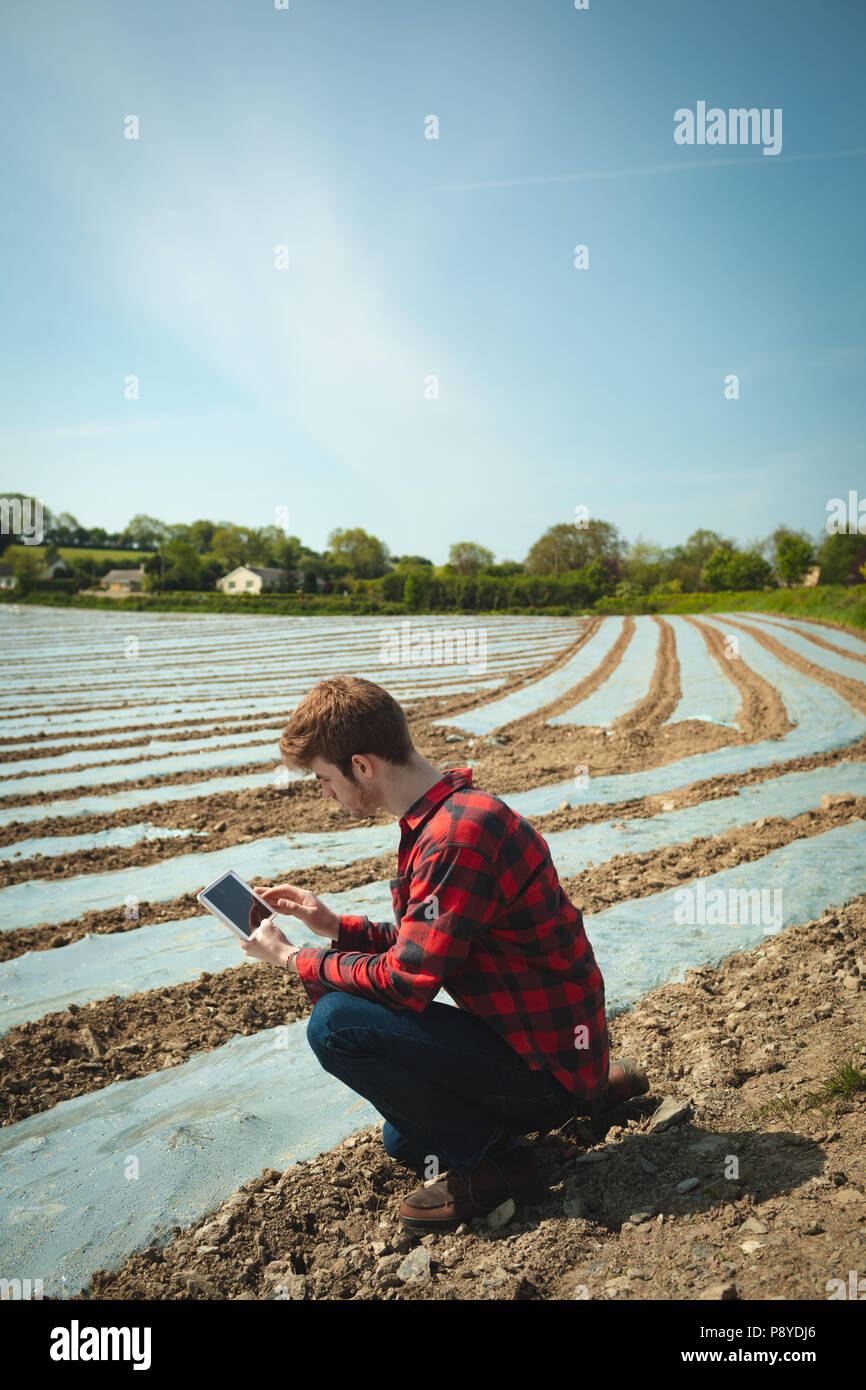 Digital field hi-res stock photography and images - Alamy