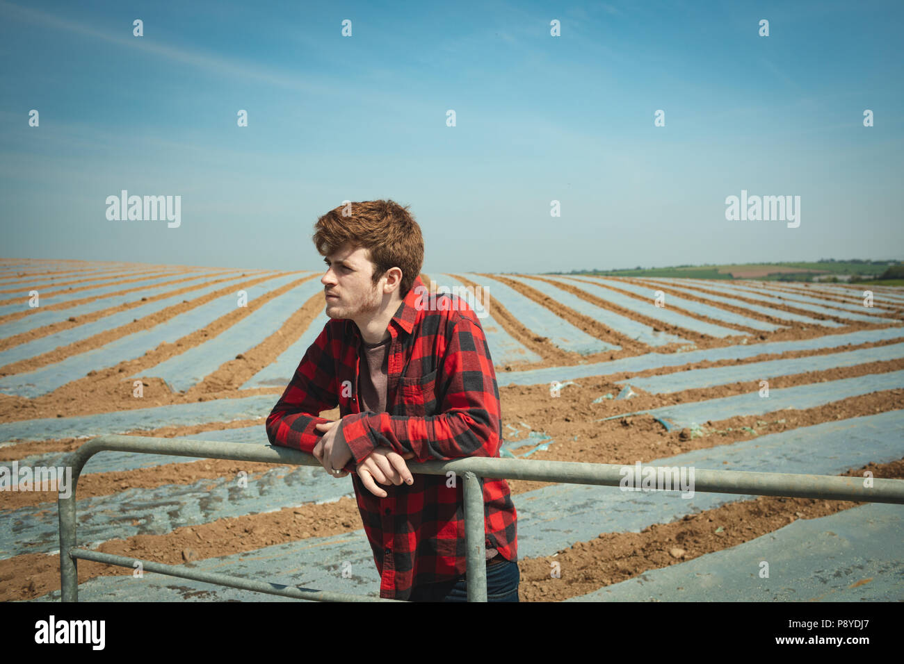 Man leaning on the railings in the field Stock Photo - Alamy