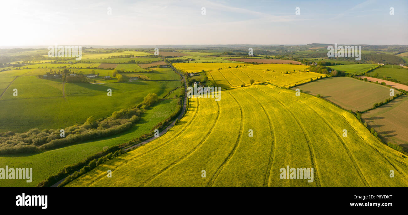 Sunny crops hi-res stock photography and images - Alamy