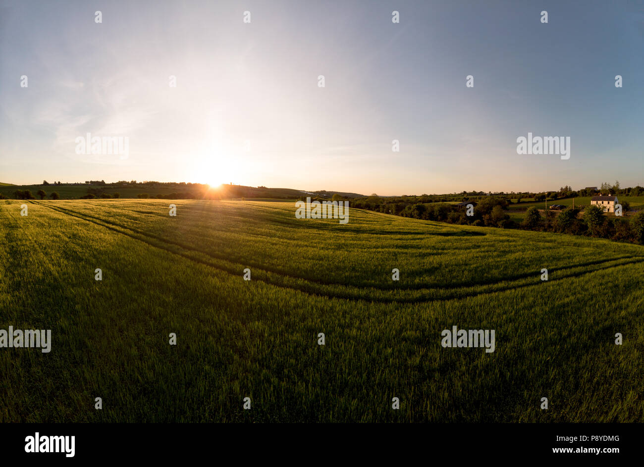 Green field at sunset hi-res stock photography and images - Alamy