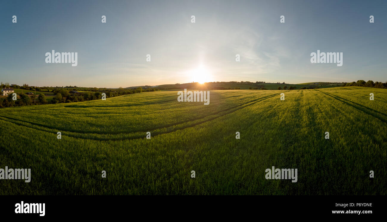 Crops field hi-res stock photography and images - Alamy
