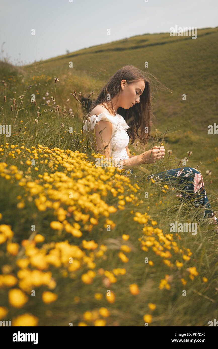 Calm meadow hi-res stock photography and images - Alamy