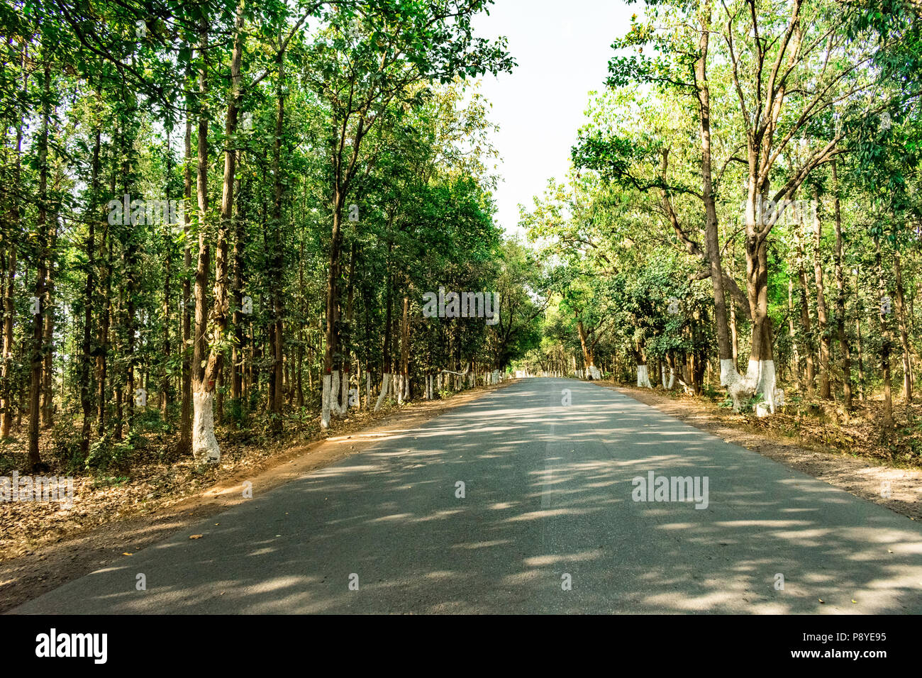 Rural Indian uphill pitch road highway meets the sky horizon through ...
