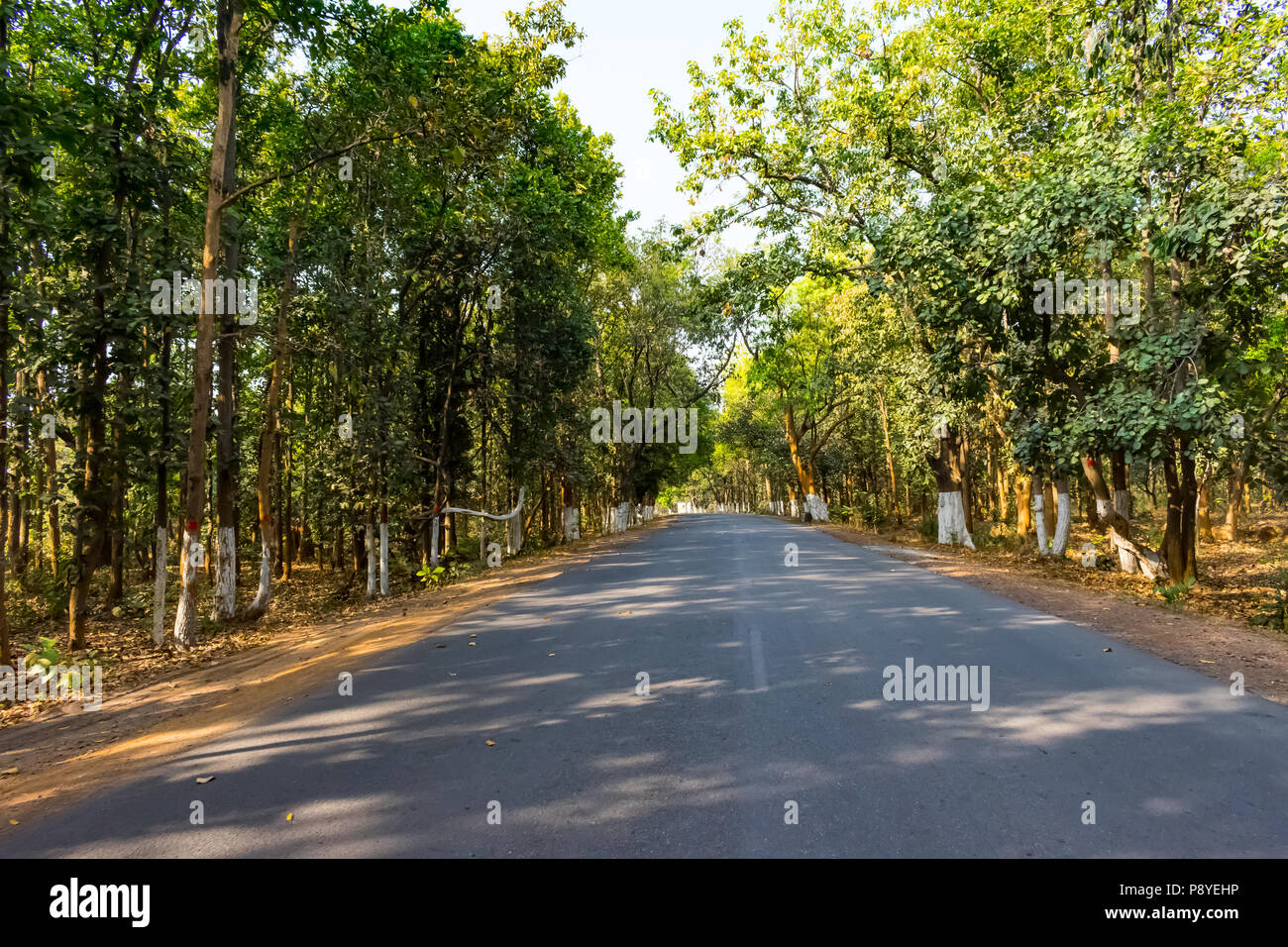 Indian road safety hi-res stock photography and images - Alamy