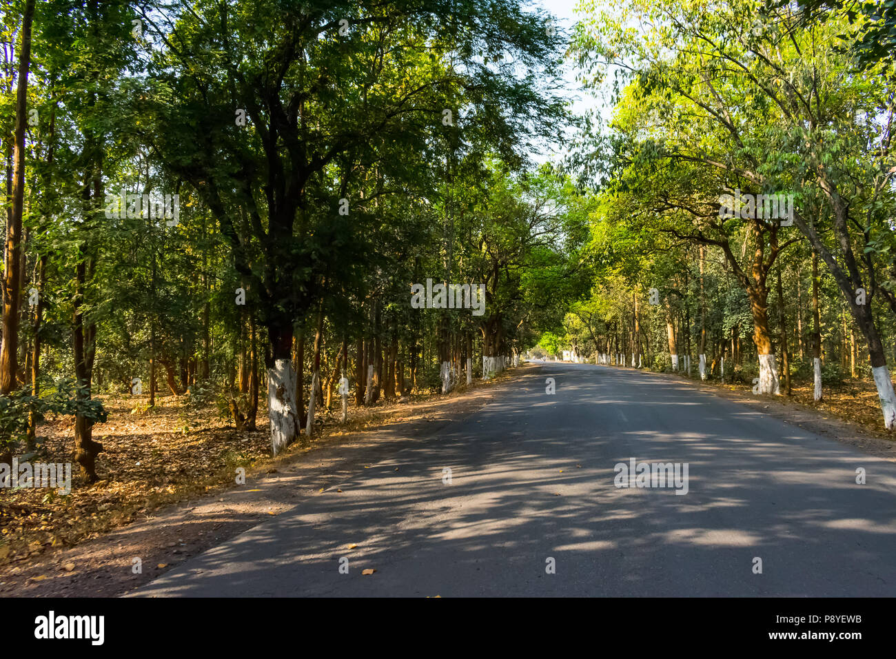 Rural Indian uphill pitch road highway meets the sky horizon through ...