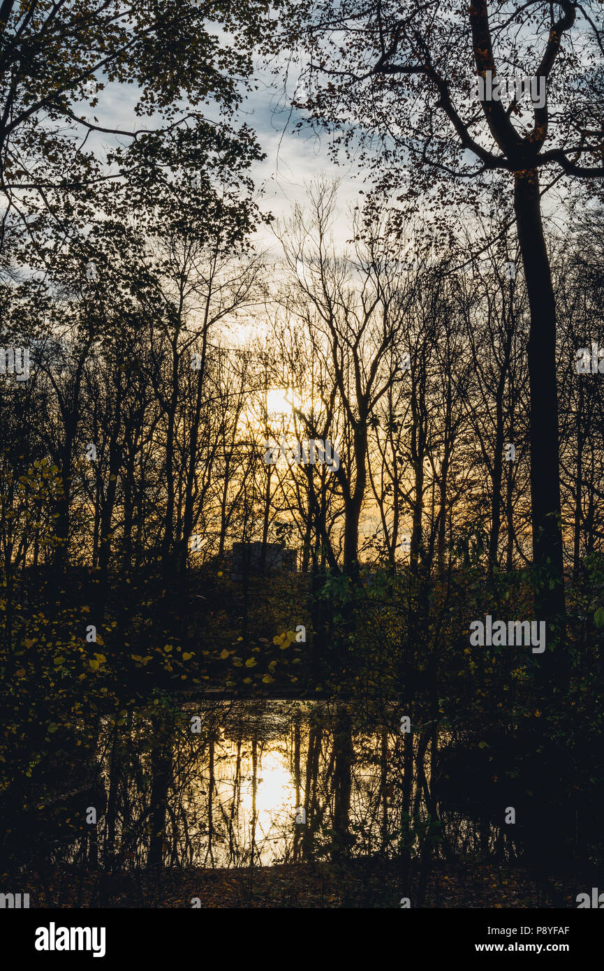 Beautiful view shadow trees hi-res stock photography and images - Alamy