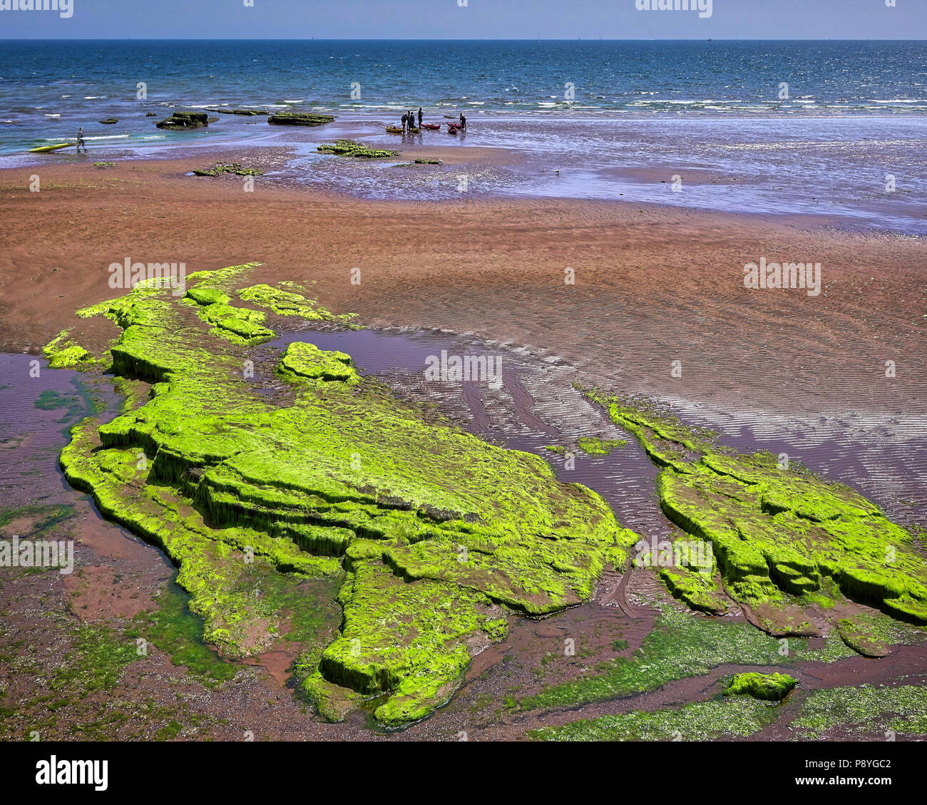 Devonshire beach hi-res stock photography and images - Alamy