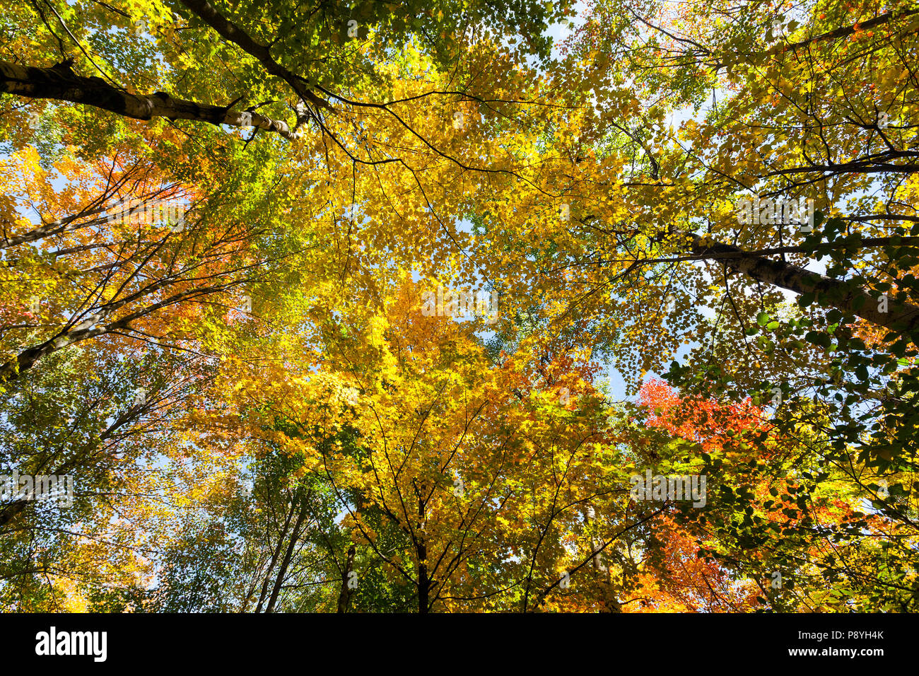 Autumn colors around Lake Boivin, Granby, Eastern Townships, Quebec ...