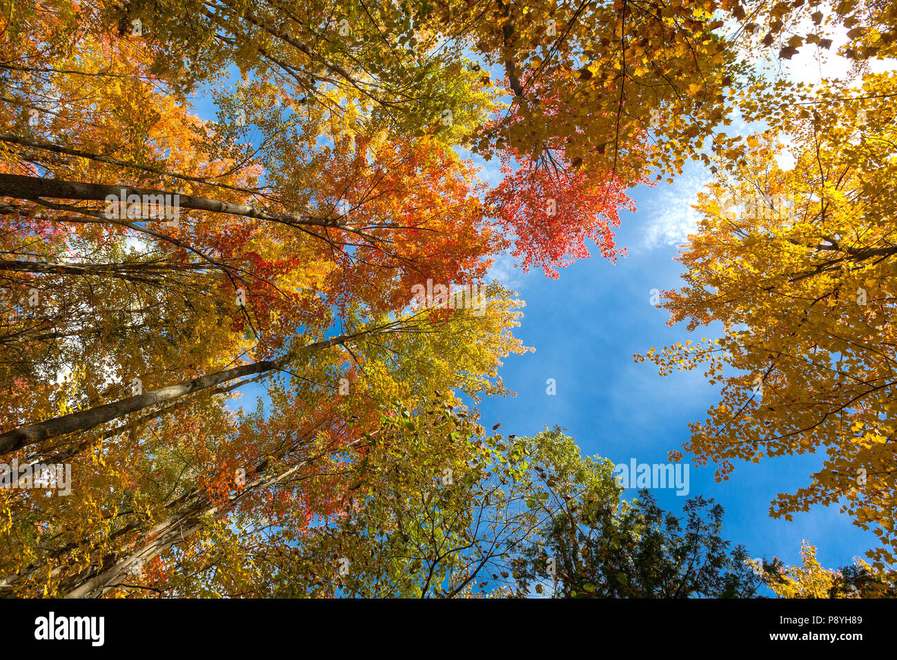 Autumn colors around Lake Boivin, Granby, Eastern Townships, Quebec ...