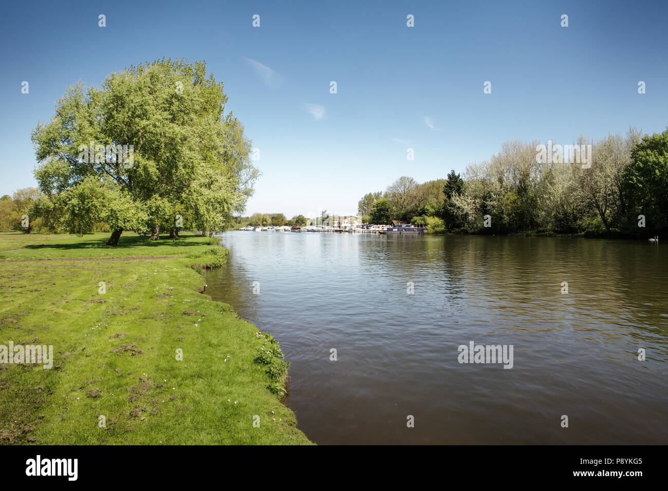 Public garden park grass tree uk britain england hi-res stock ...