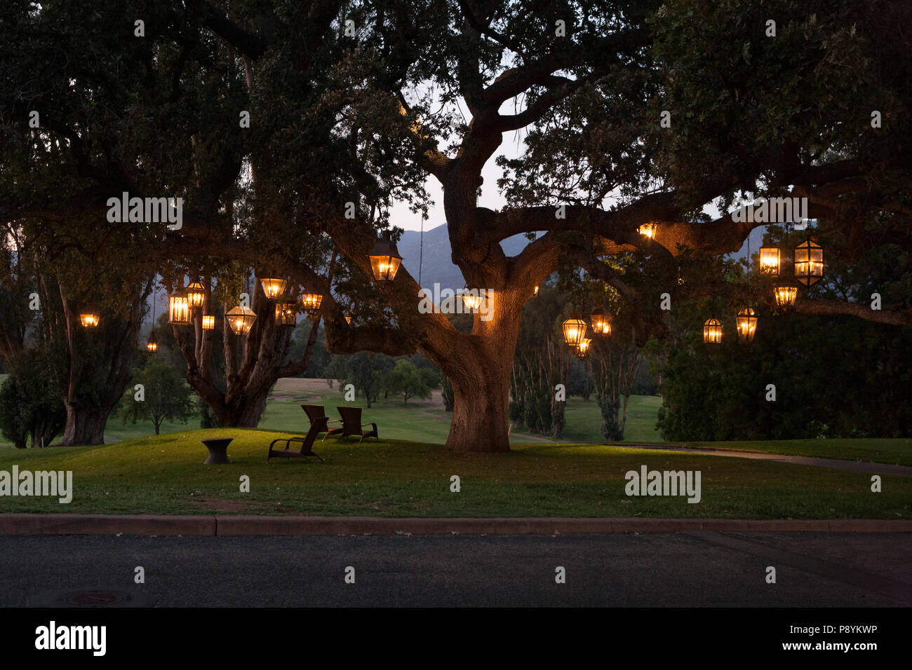 Illuminated Tree Lanterns Stock Photo - Alamy
