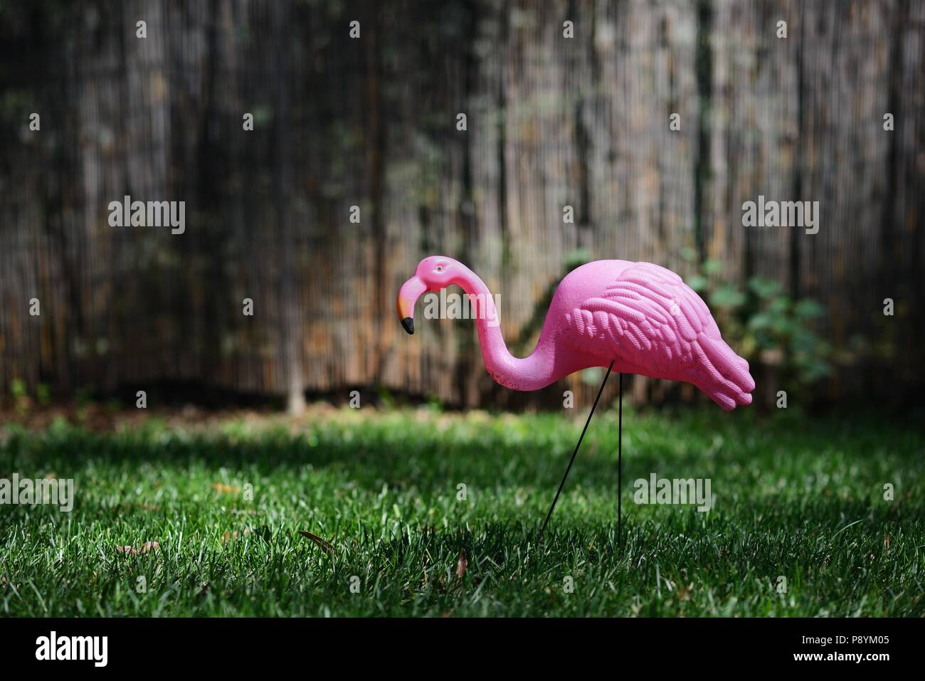 Plastic pink flamingo outdoor ornament on green grass Stock Photo - Alamy