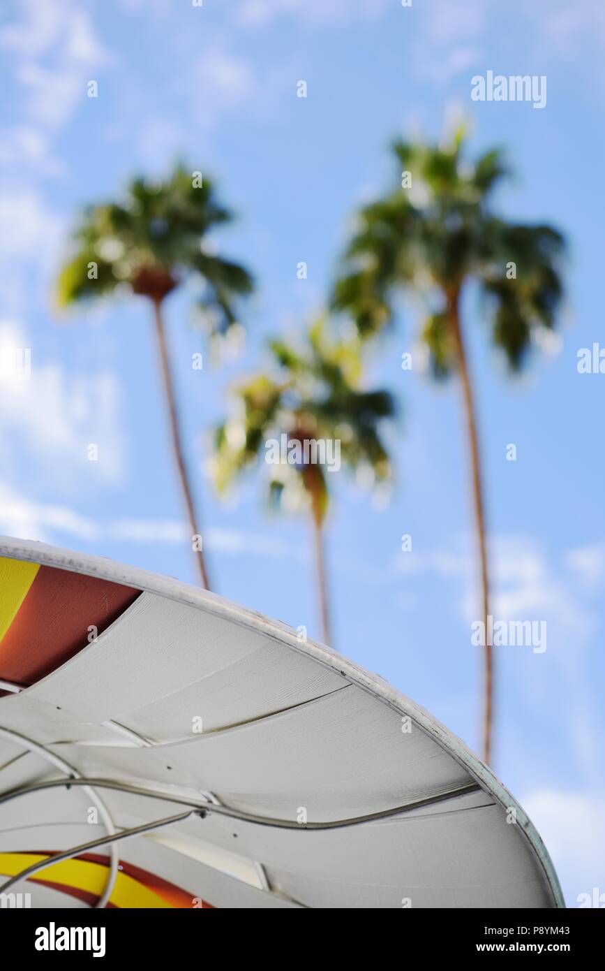 1950's vintage pool umbrella in foreground with palm trees in ...