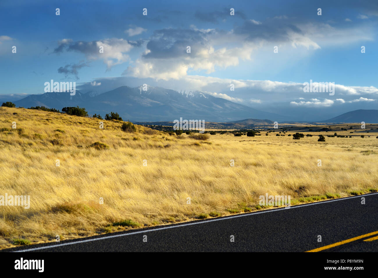 Beautiful endless wavy road in Arizona desert, USA Stock Photo - Alamy
