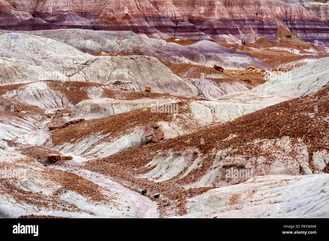 Striped purple sandstone formations of Blue Mesa badlands in Petrified ...