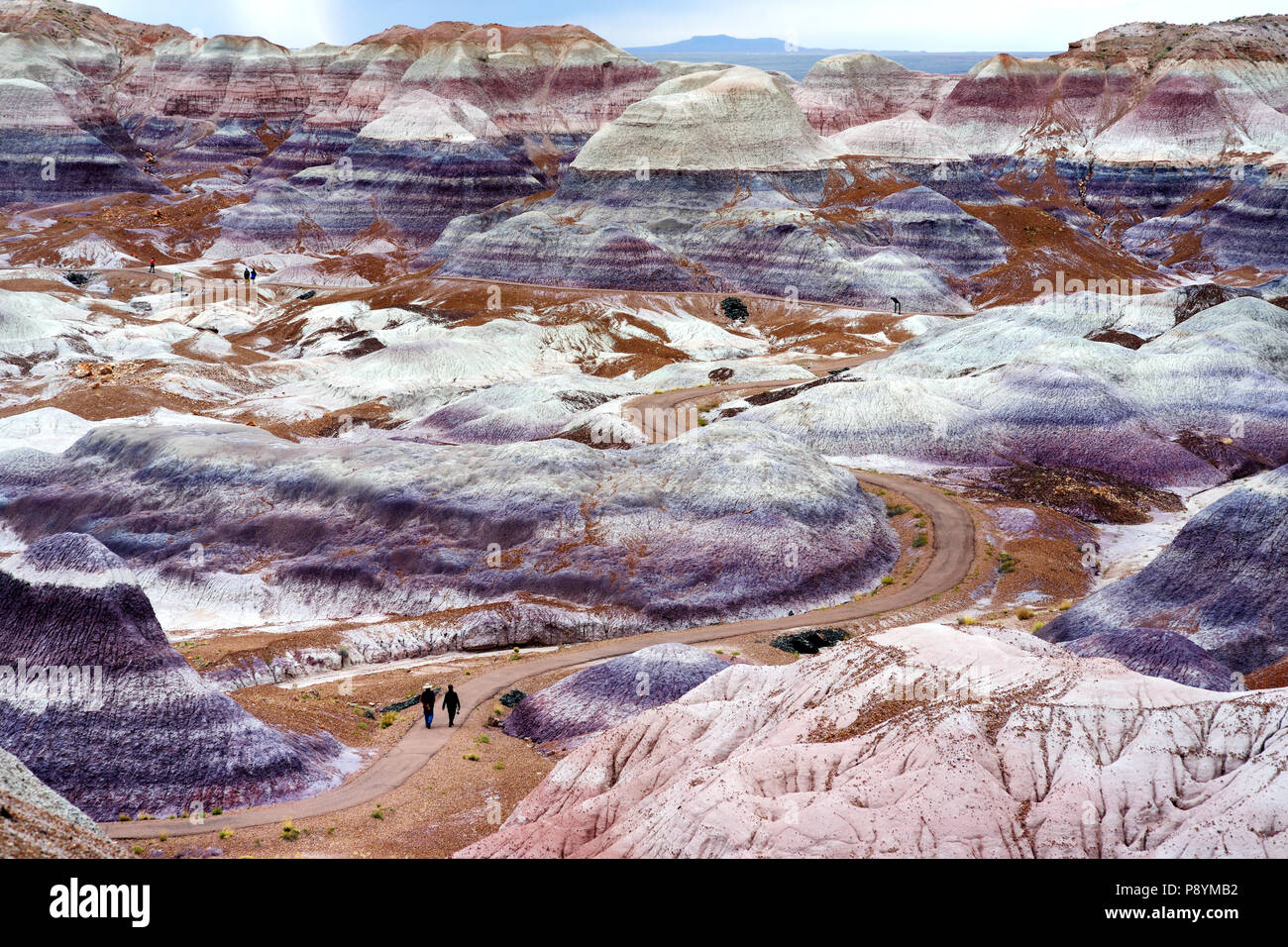 Striped purple sandstone formations of Blue Mesa badlands in Petrified ...