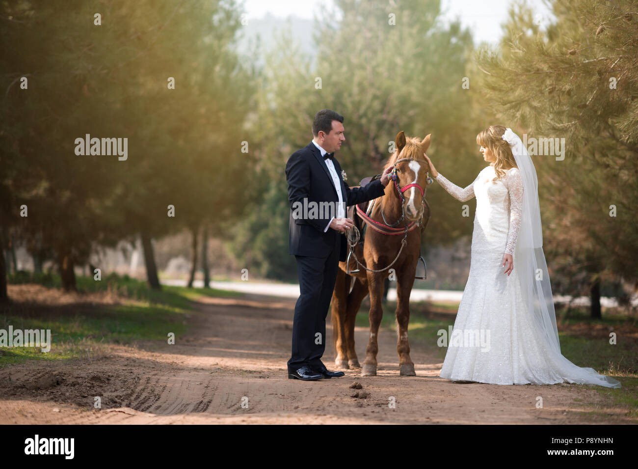 Turkish traditional wedding dress hi-res stock photography and images ...