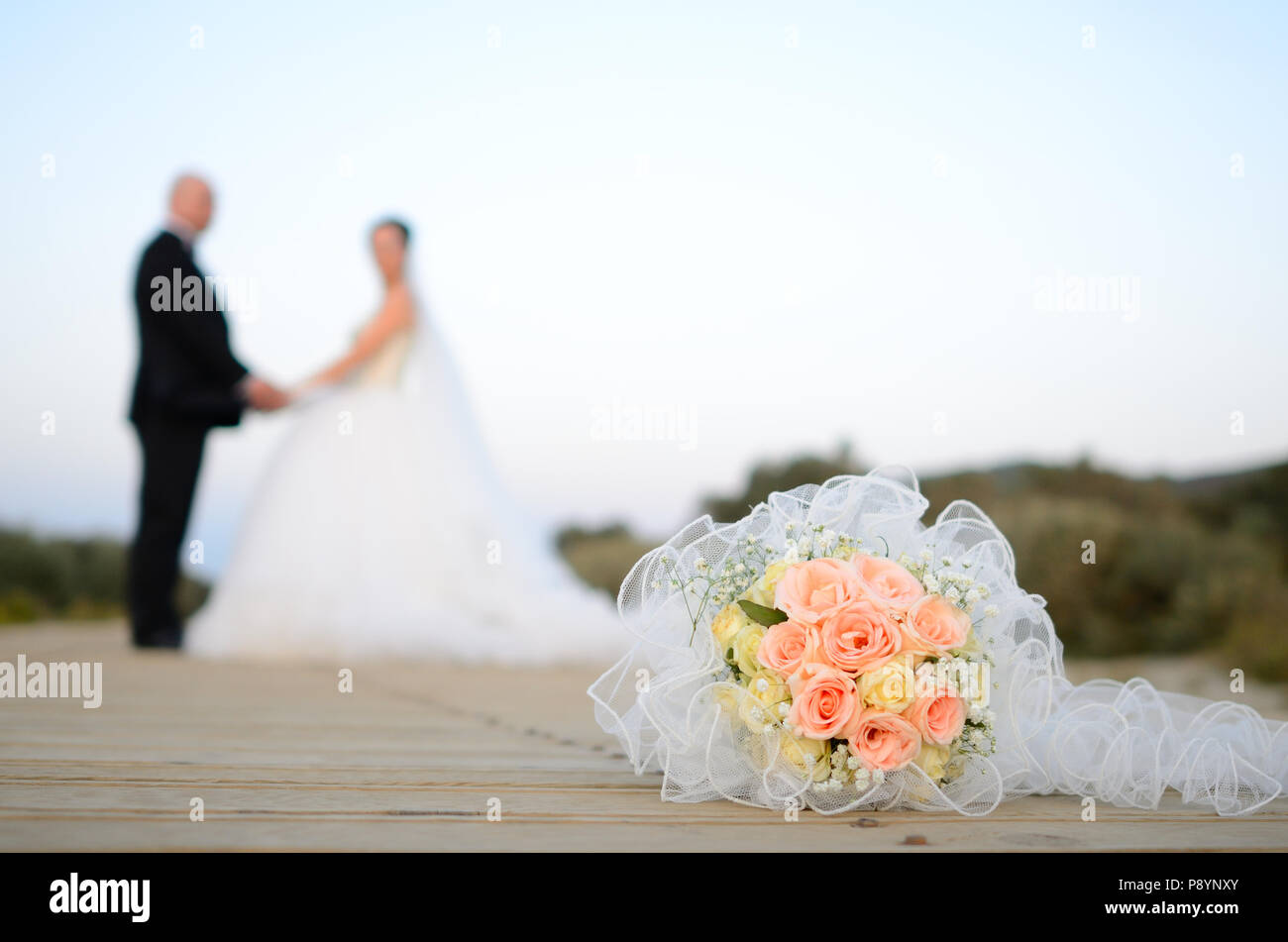 Wedding bride and groom bridegroom love marriage marrying couple Stock ...