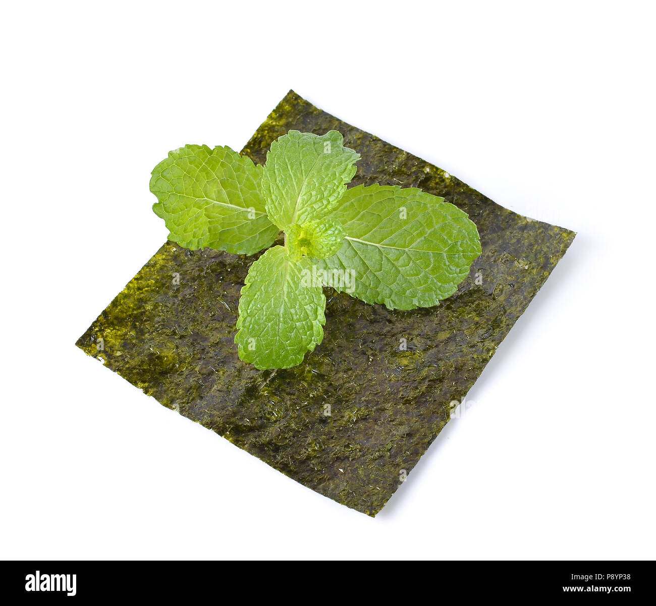 seaweed on white background Stock Photo - Alamy