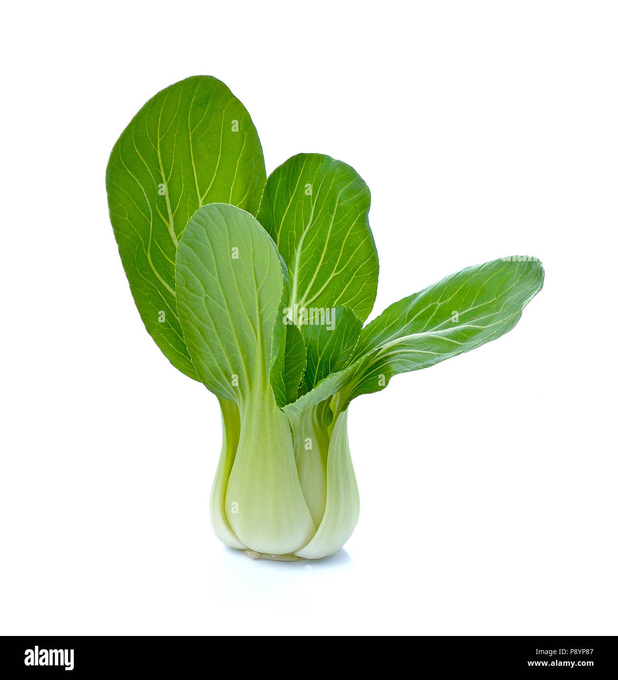 Bok choy (chinese cabbage) isolated on white Stock Photo - Alamy