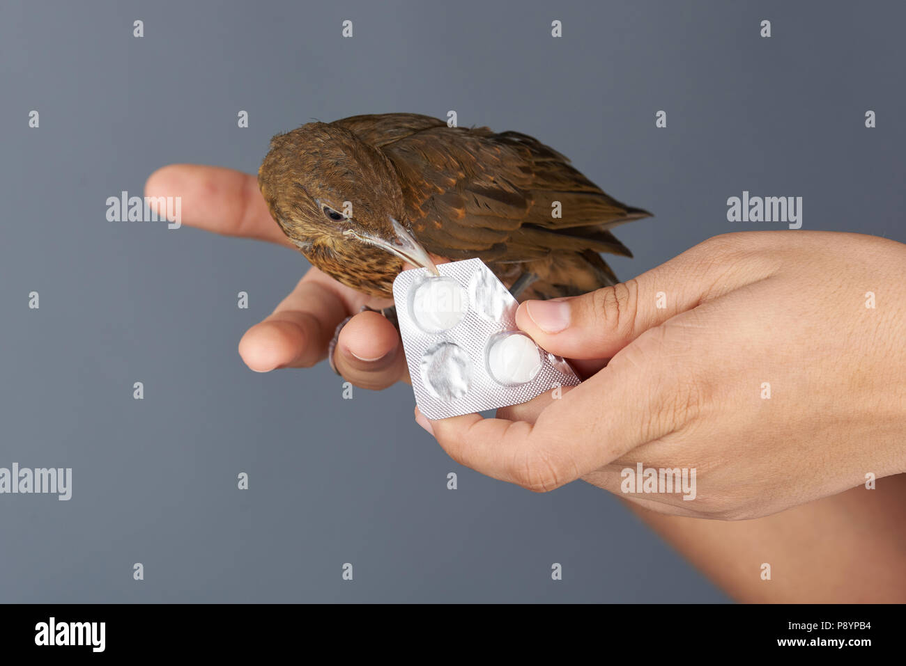 Medicine gray hi-res stock photography and images - Alamy