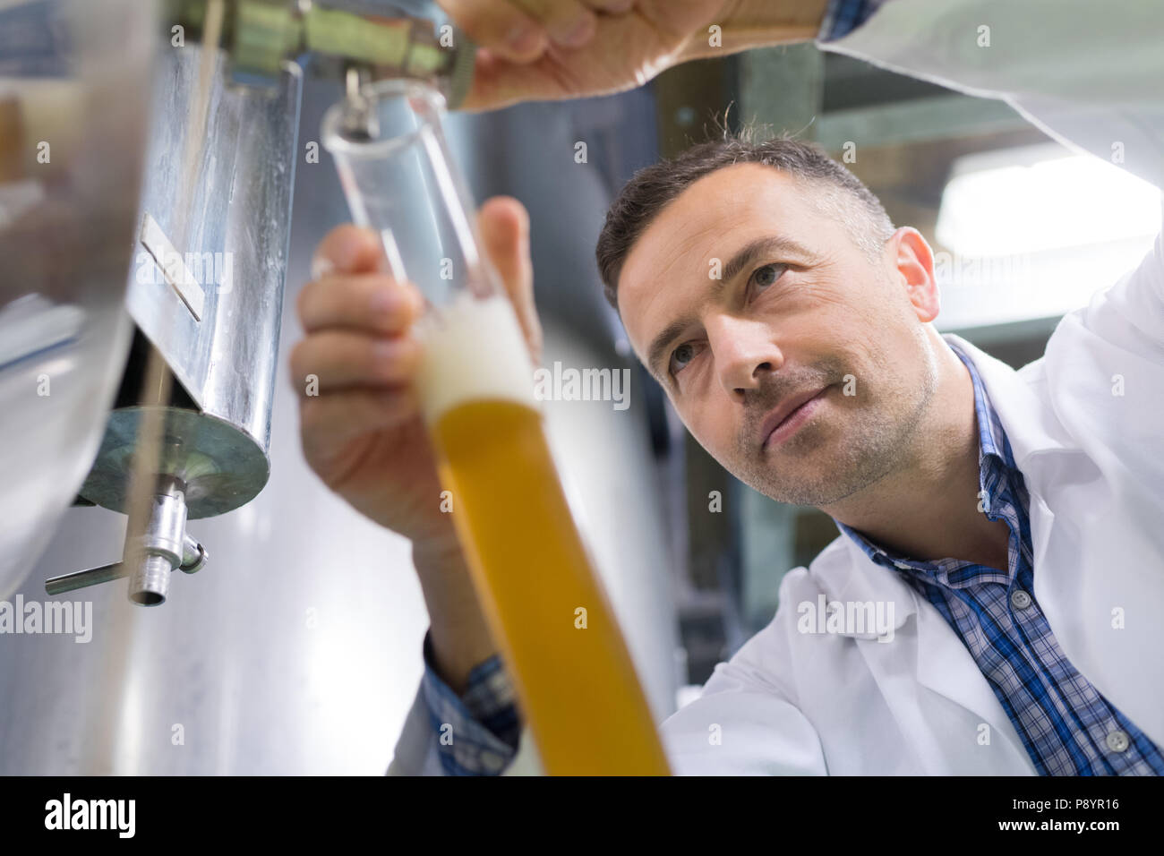 brewery scientist taking samples from the container Stock Photo - Alamy