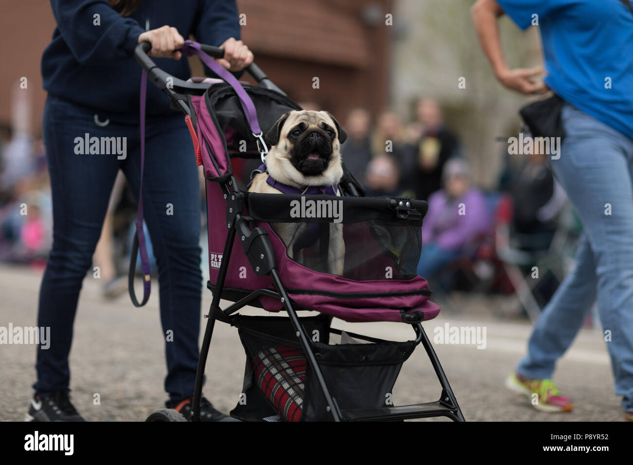 Holland, Michigan, USA - May 12, 2018 People wearing blue shirts with ...