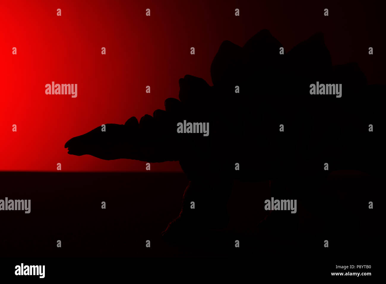 Stegosaurus shadow with red light in dark Stock Photo - Alamy
