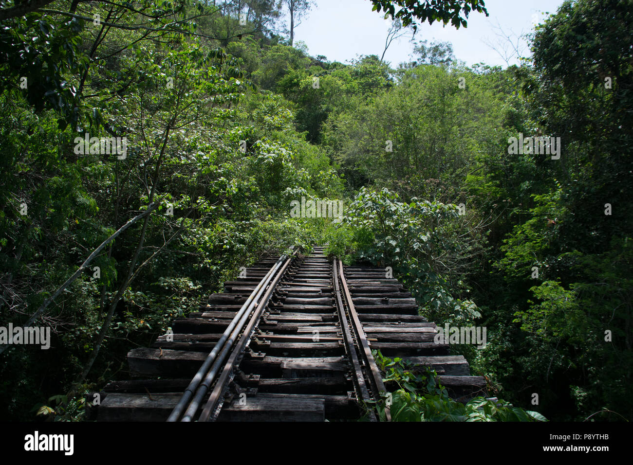 Old and abandoned railroads claimed by the nature on the GFV (Venezuela ...