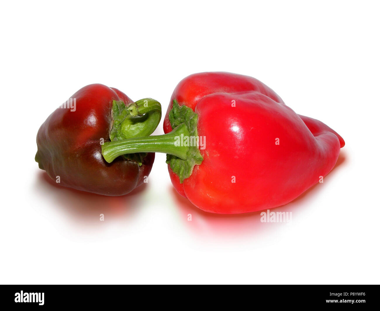 Nature photography subject Cut Out Stock Images & Pictures - Alamy