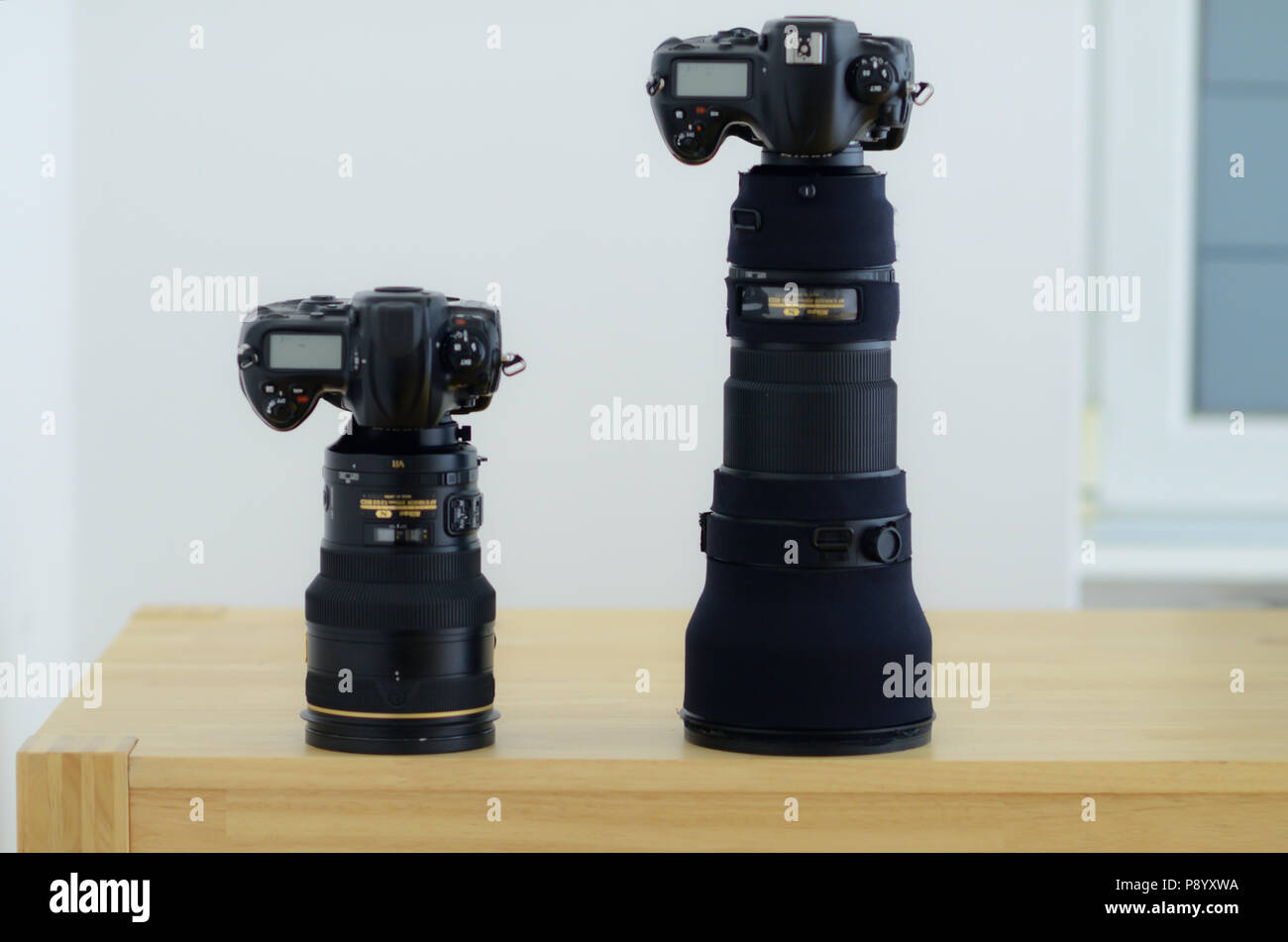 Wildlife photography equipment cameras lenses, Sports photography ...