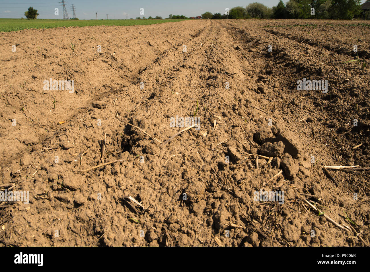 empty field at the beginning of spring Stock Photo - Alamy