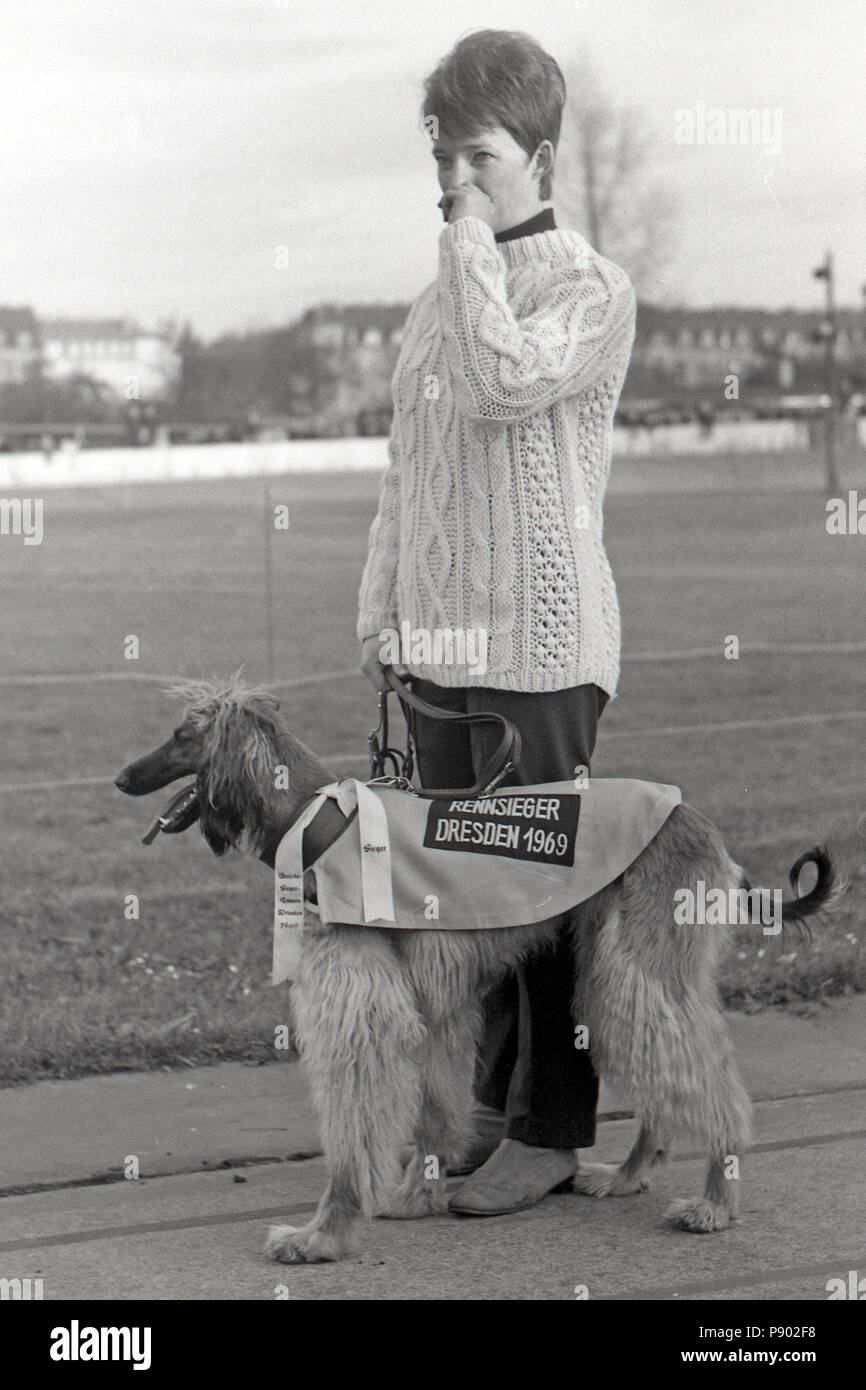 Afghan hound racing hi-res stock photography and images - Alamy