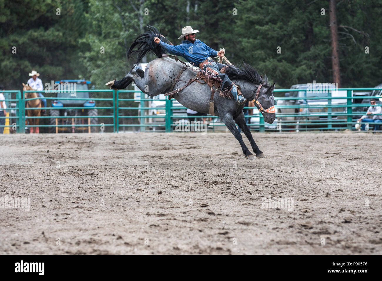 Saddle bronc riding hi-res stock photography and images - Alamy