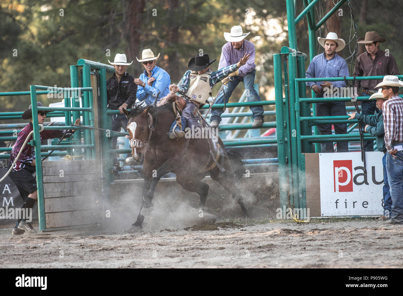 Saddle Bronc Riding, Rhythm between a cowboy and his horse is key in ...