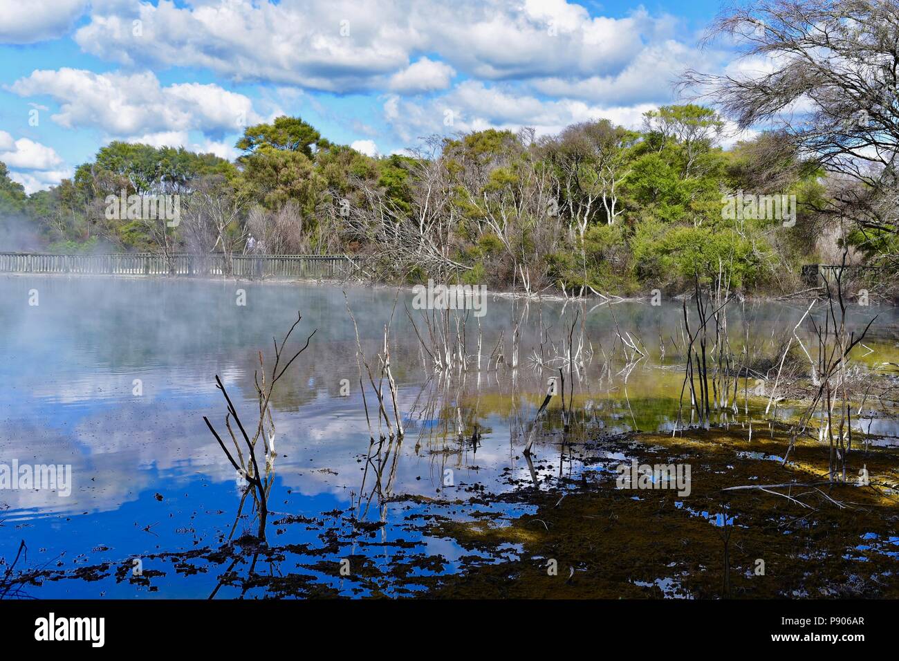 Geothermal park in central Rotorua Stock Photo - Alamy