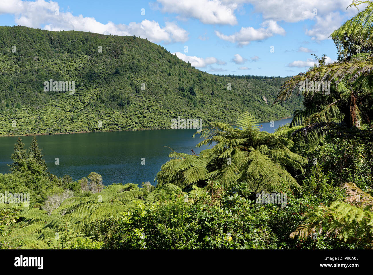 Green Lake near Rotorua, New Zealand Stock Photo - Alamy