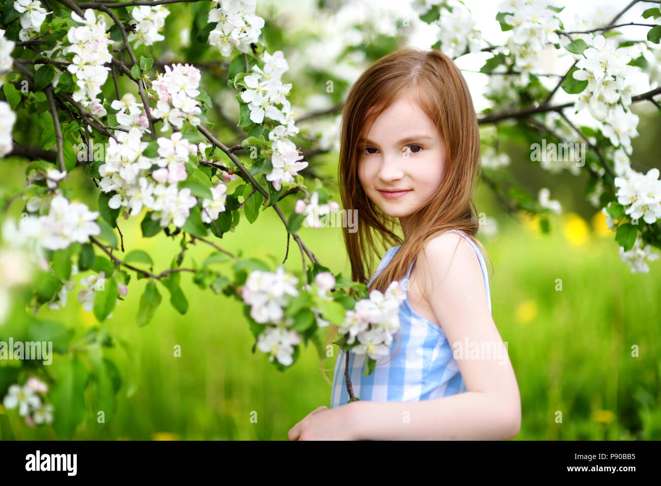Adorable little girl in blooming apple tree garden on beautiful spring day Stock Photo - Alamy