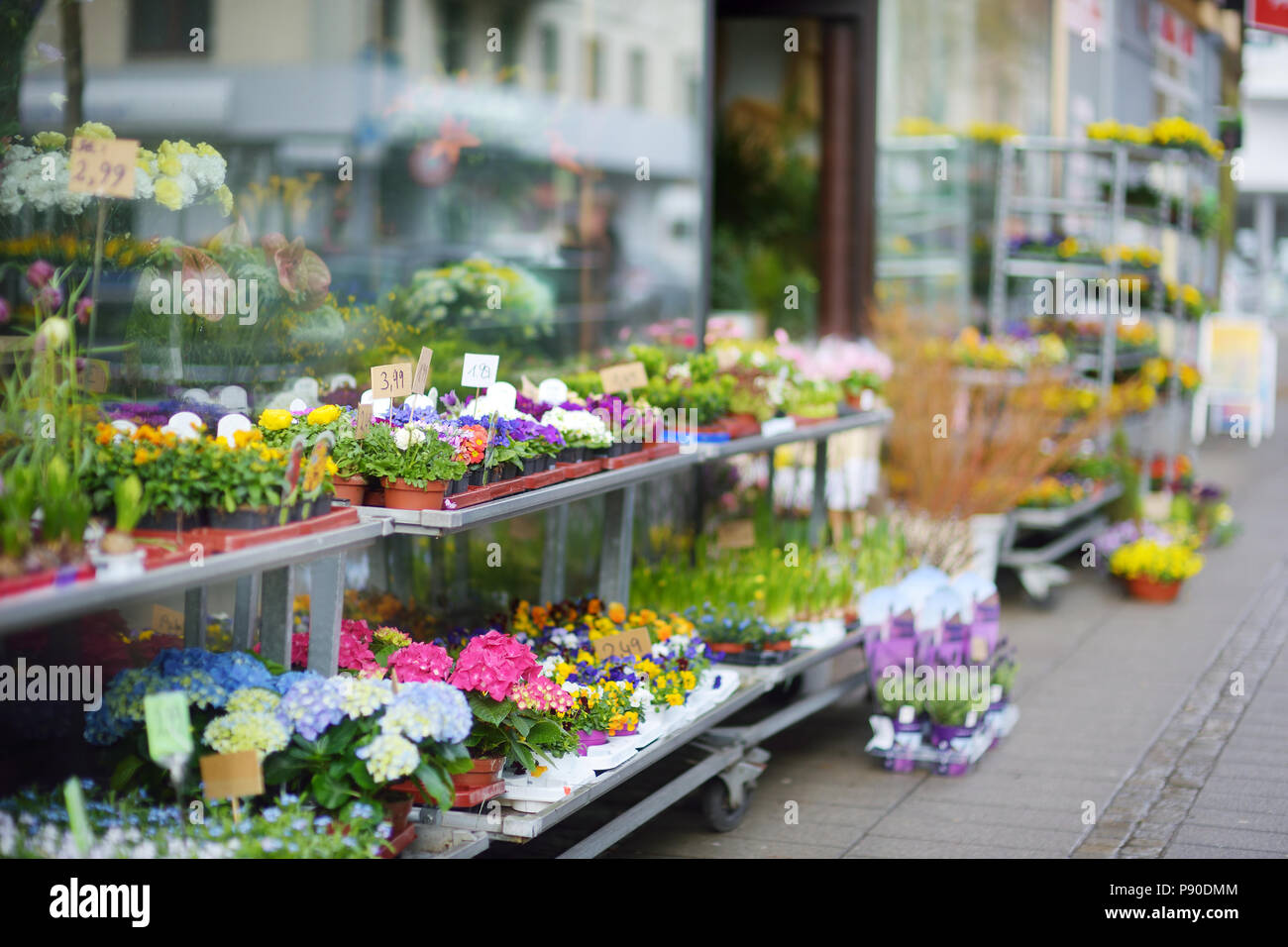 Outdoor flower shop hi-res stock photography and images - Alamy