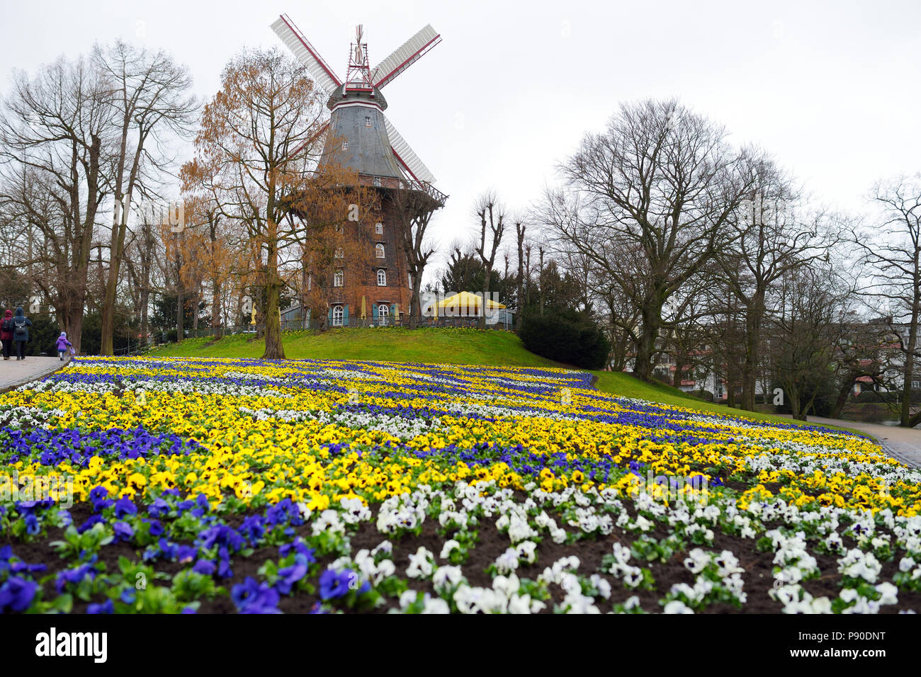 Famous Am Wall Windmill, an important and iconic building in Bremen ...