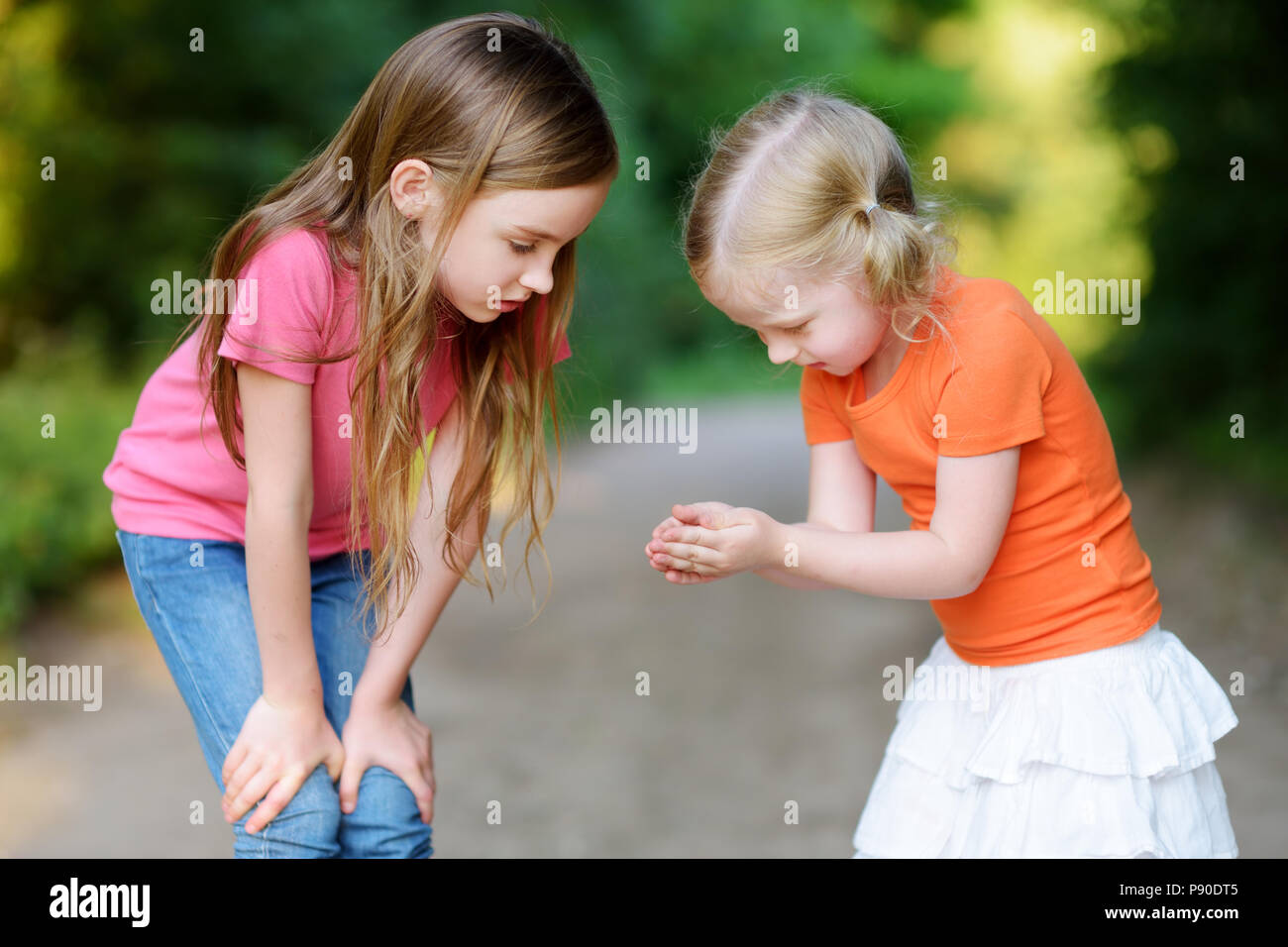 Two adorable little girl catching babyfrogs on warm and sunny summer ...