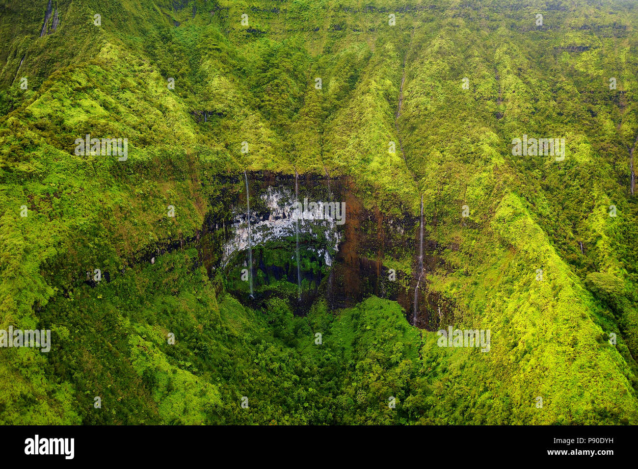 Mount Waialeale known as the wettest spot on Earth, Kauai, Hawaii Stock ...