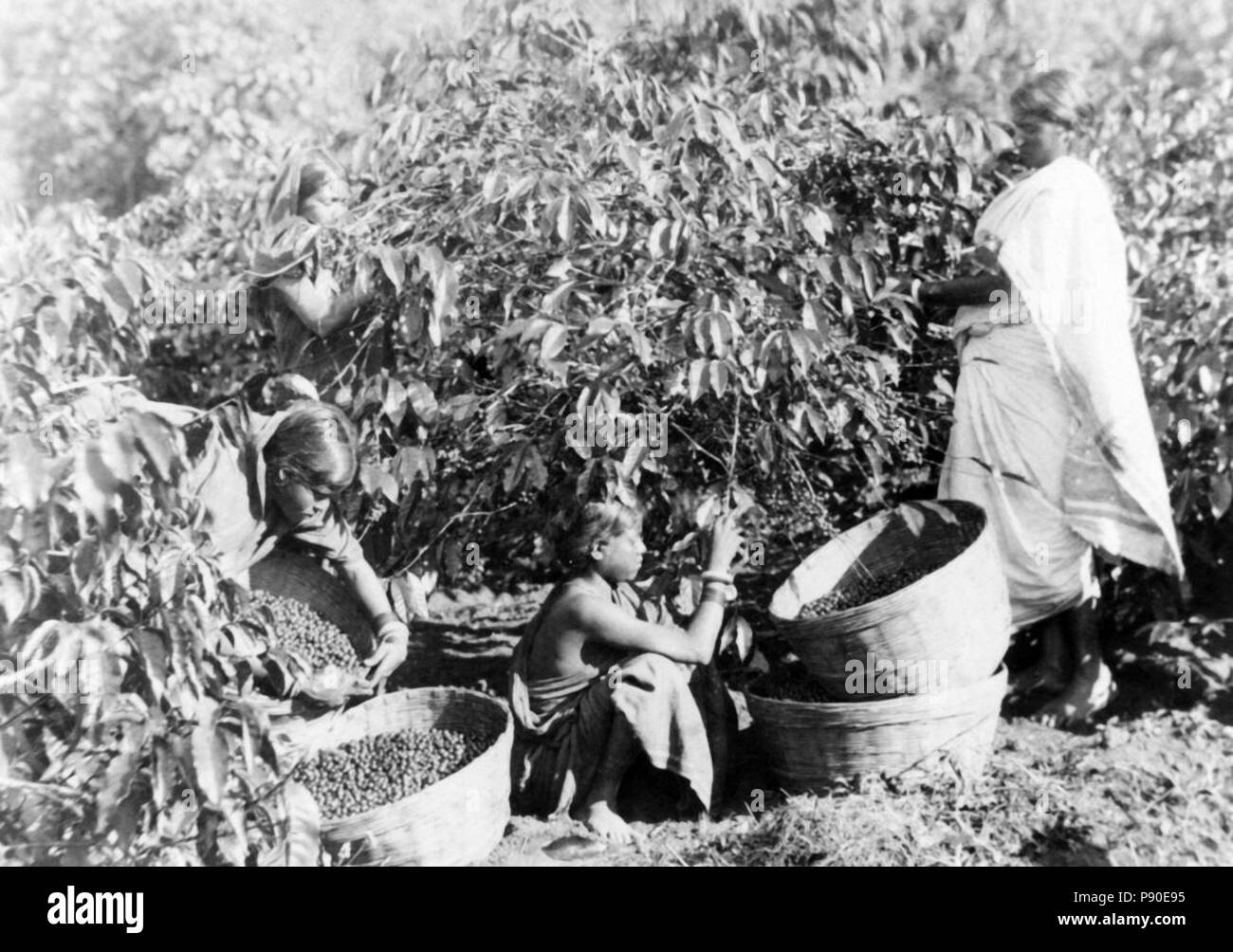 Heritage buildings of india Black and White Stock Photos & Images - Alamy