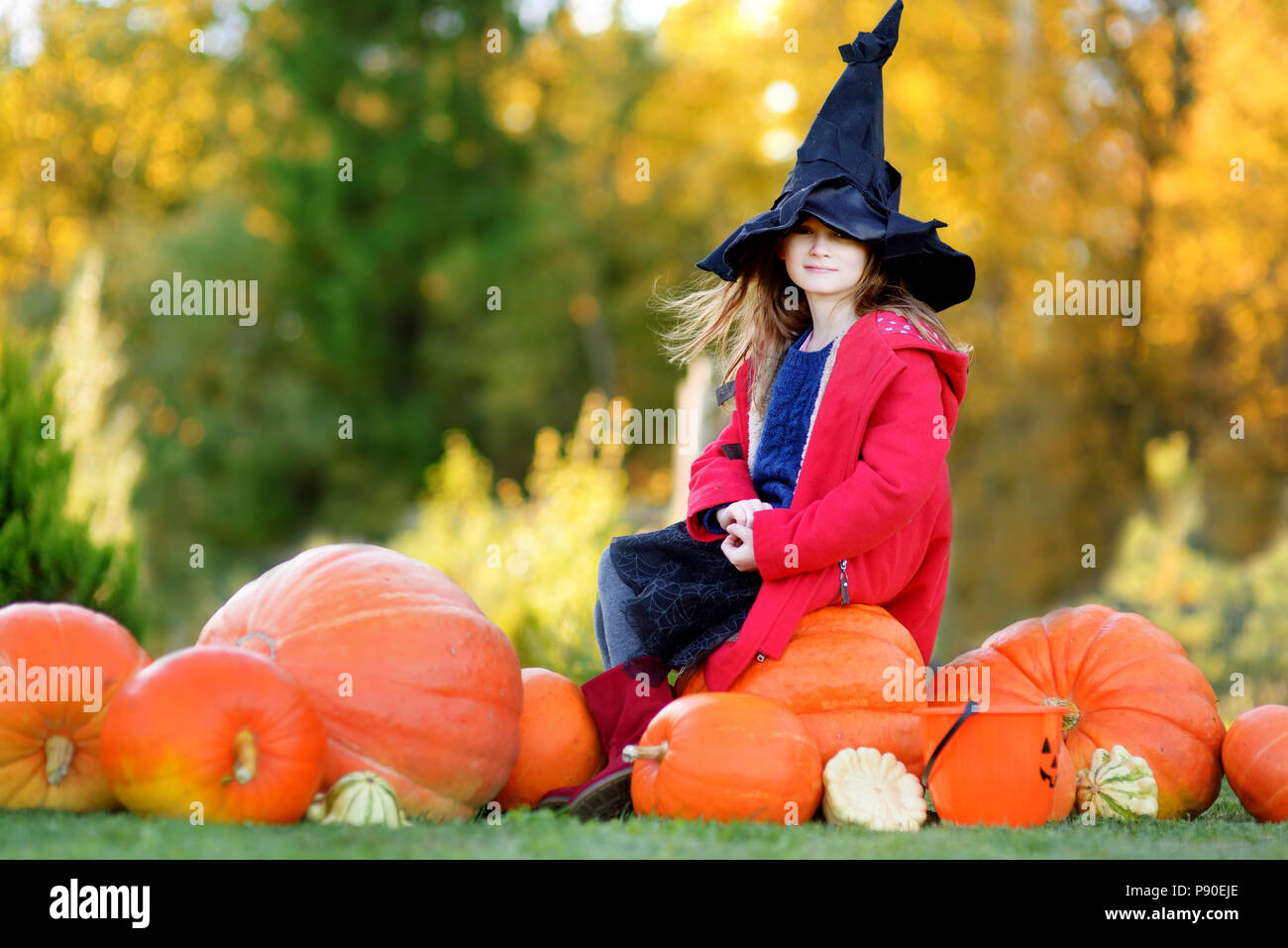 Adorable little girl wearing halloween costume having fun on a pumpkin ...
