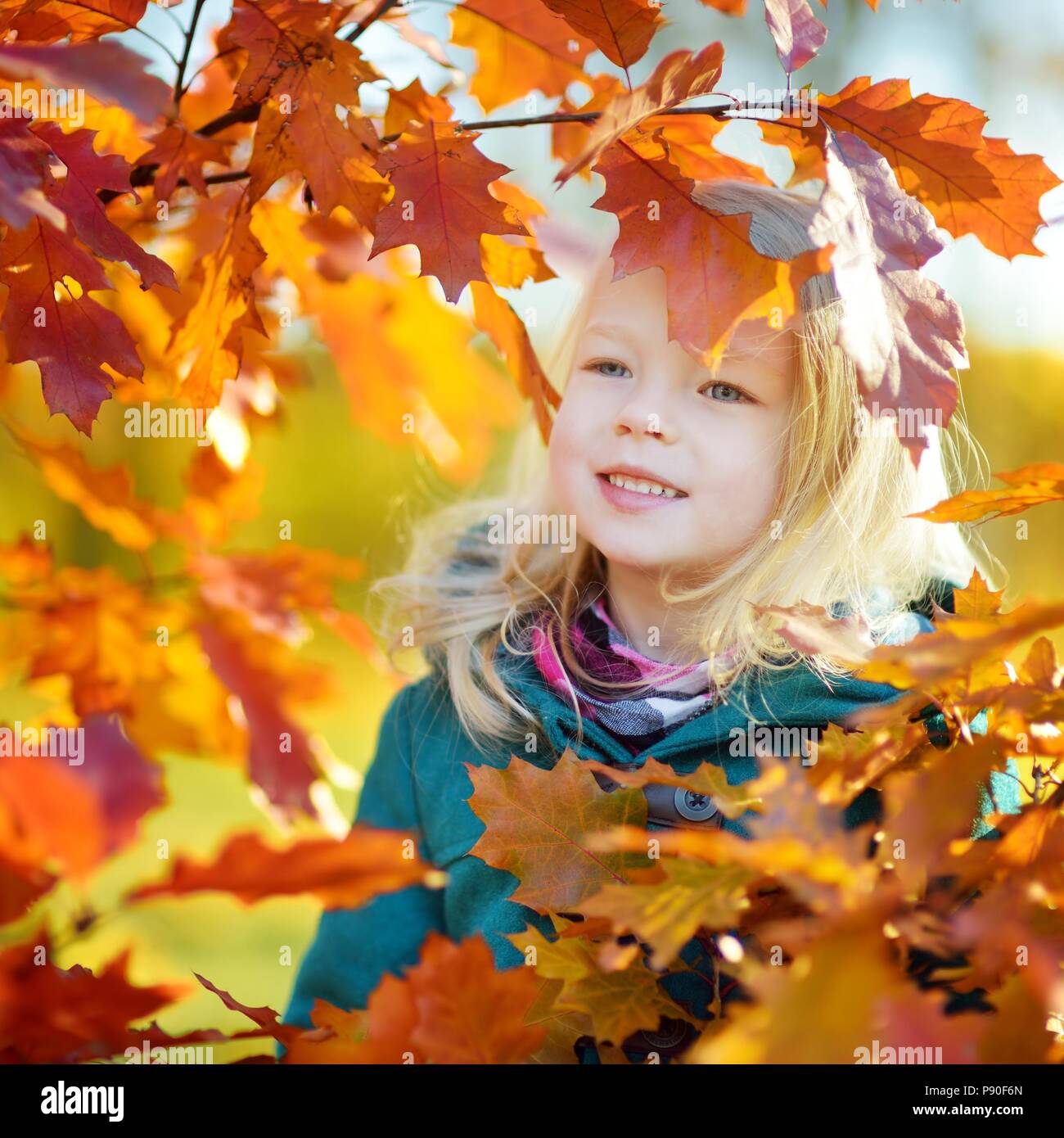 Cute little girl having fun on beautiful autumn day outdoors Stock ...