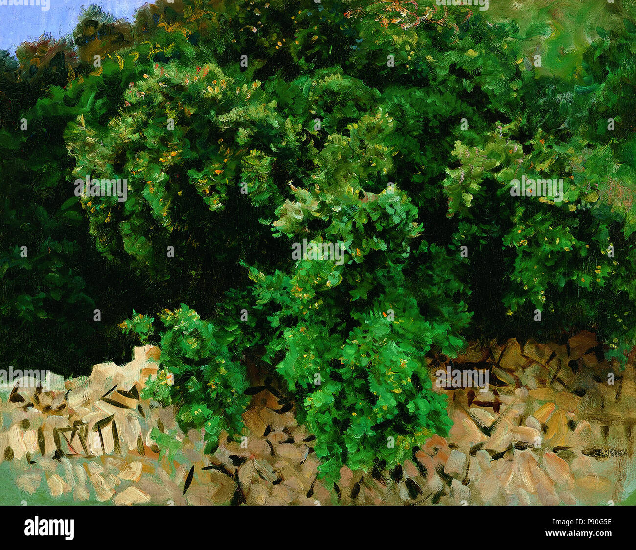 Carrascal hi-res stock photography and images - Alamy