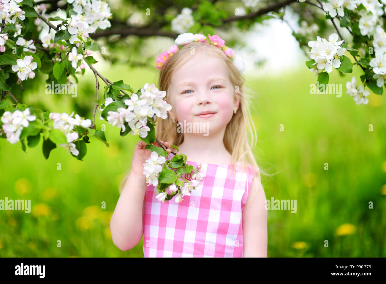 Adorable little girl in blooming apple tree garden on beautiful spring day Stock Photo - Alamy